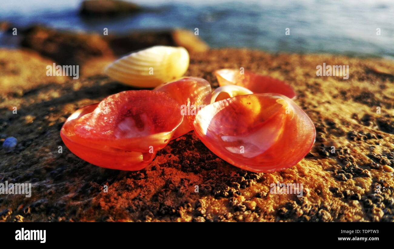 Haiyang Island High Resolution Stock Photography and Images - Alamy