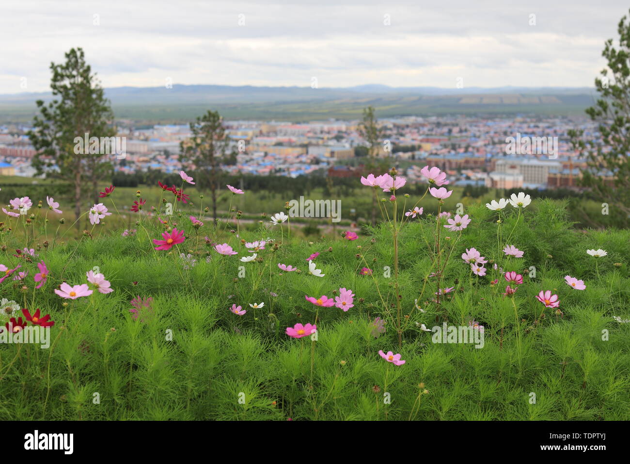 The erguna river hi-res stock photography and images - Alamy
