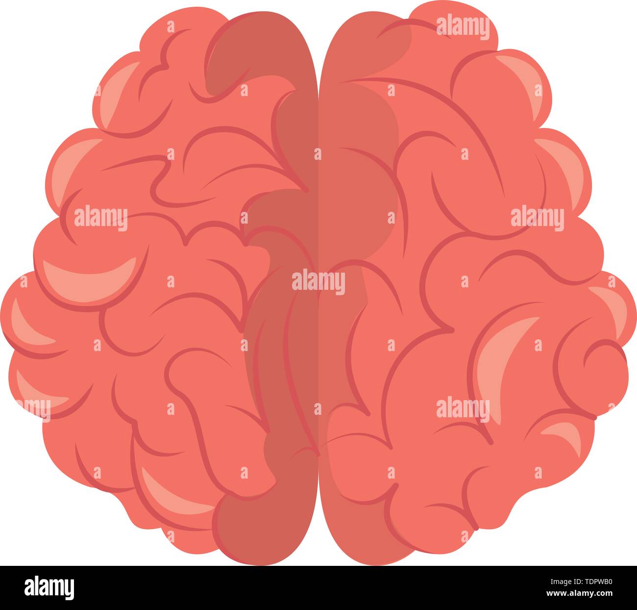 Human brain intelligence symbol cartoon isolated Stock Vector Image ...