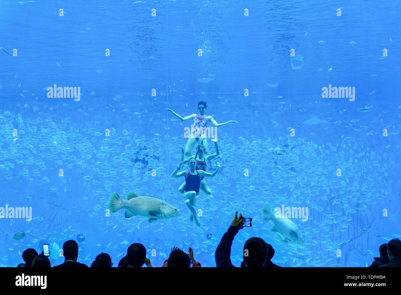 Mermaid performance at Haichang Ocean Park, Shanghai Stock Photo - Alamy
