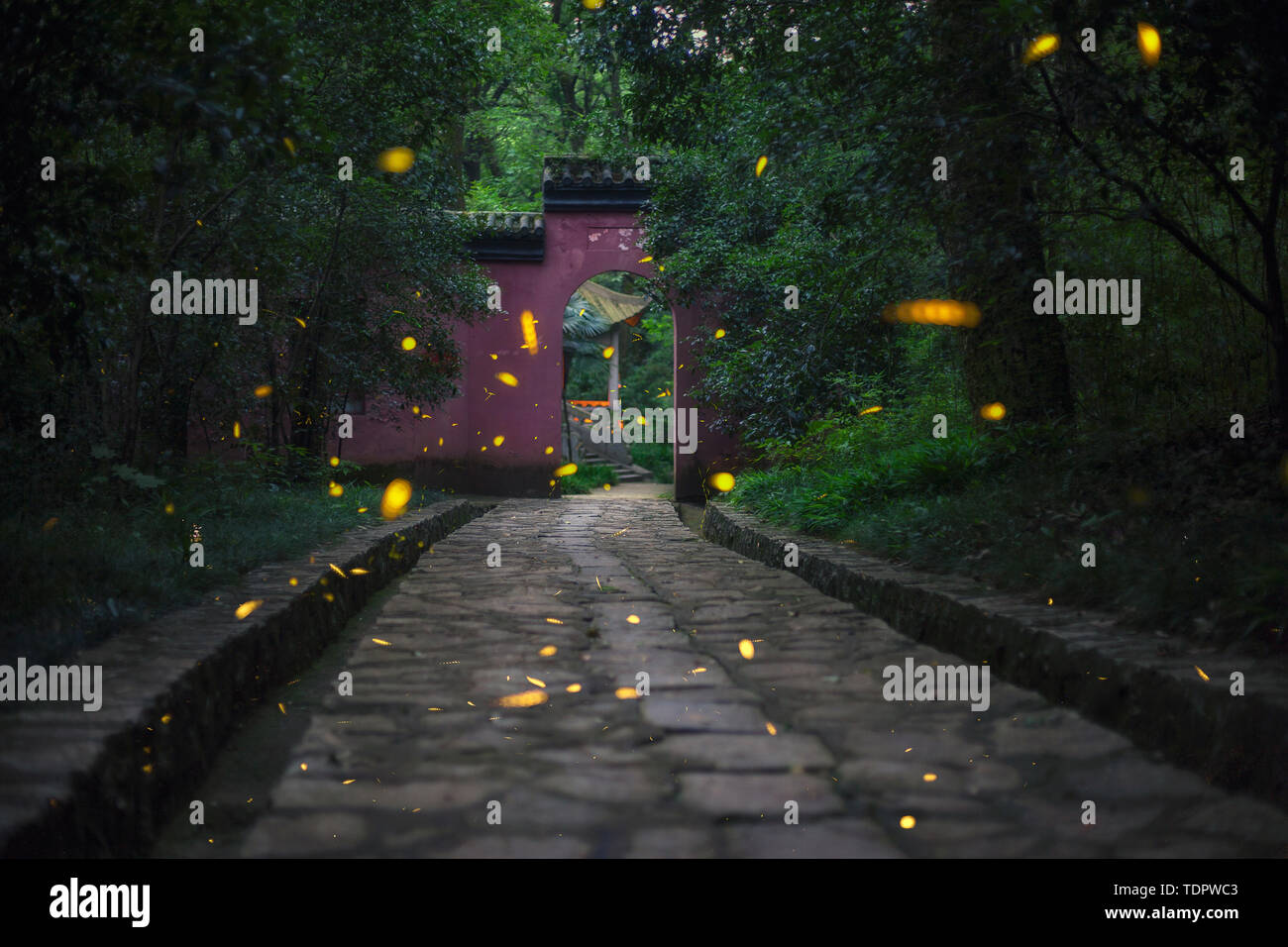 Ling street hi-res stock photography and images - Alamy