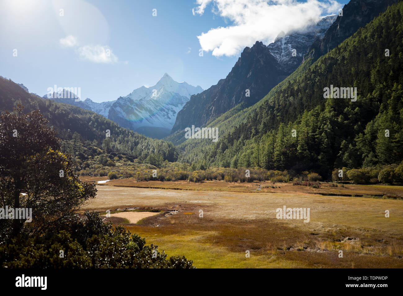 Autumn of Rice City Aden Stock Photo - Alamy