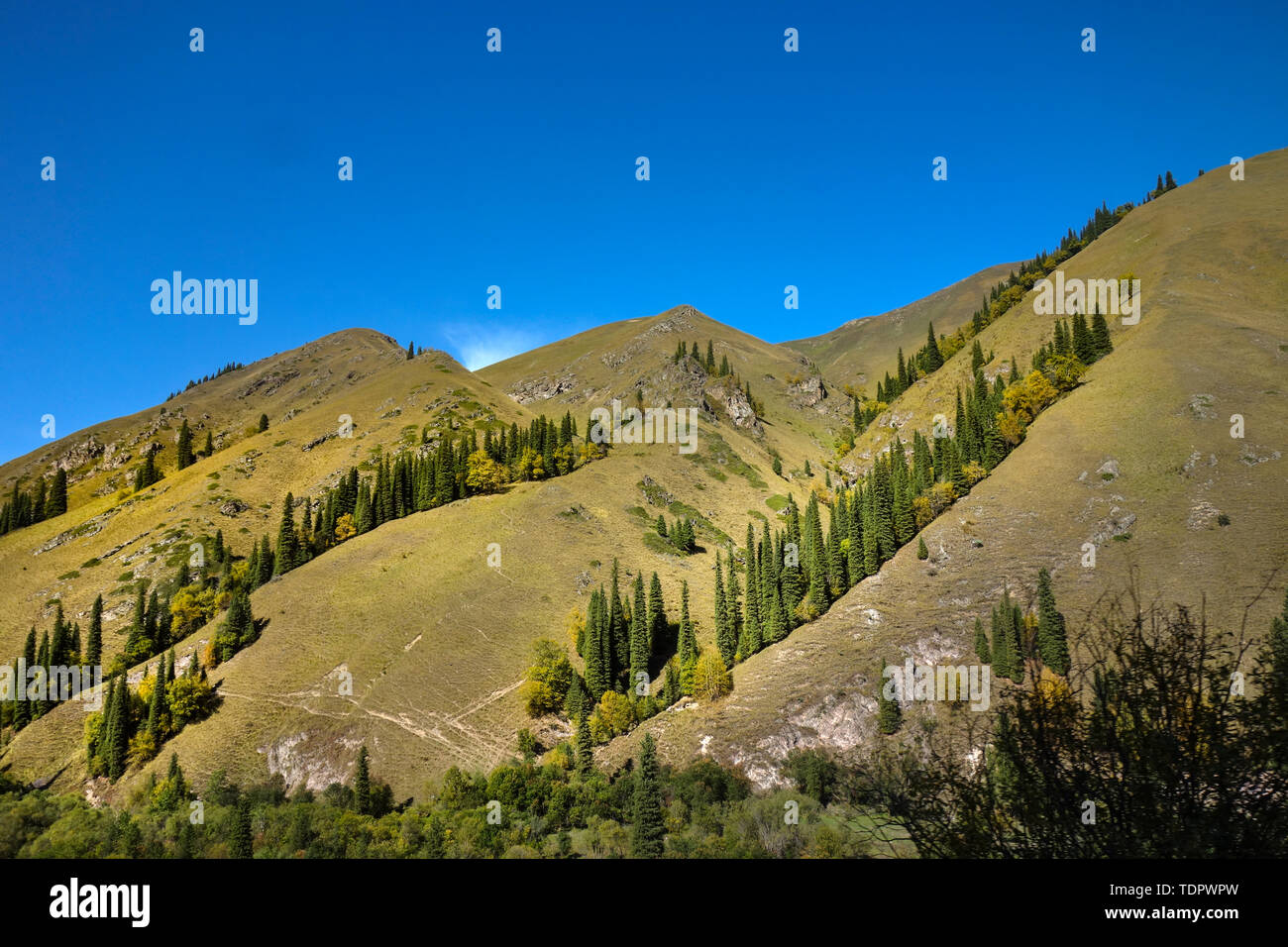 Autumn scenery of Tianshan Stock Photo - Alamy