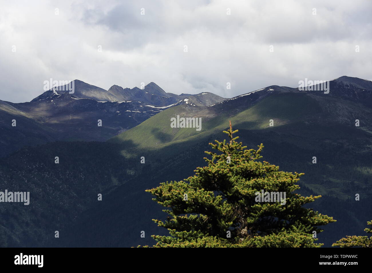Scenery of Yingzhi Lulang Linhai, Tibet Autonomous Region, China Stock ...