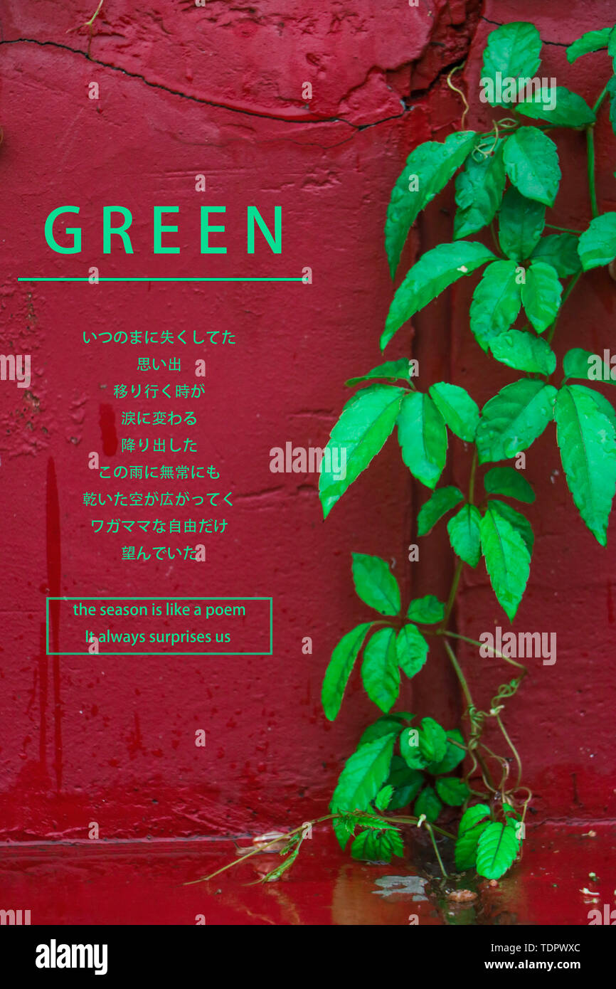 Healing style, microscopic pictures Stock Photo - Alamy