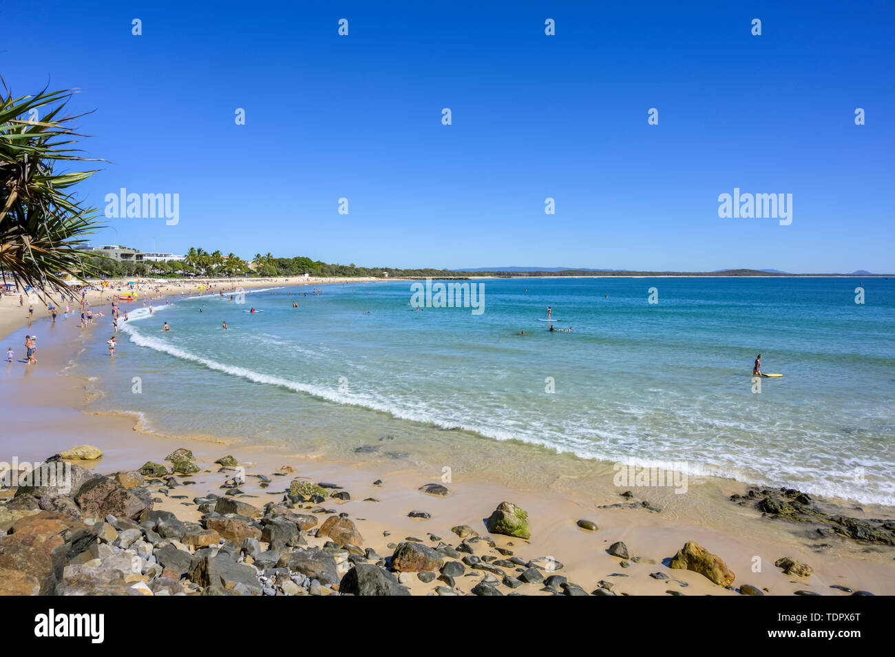Sunbathers and swimmers at the beach, Sunshine Coast; Noosa Heads ...