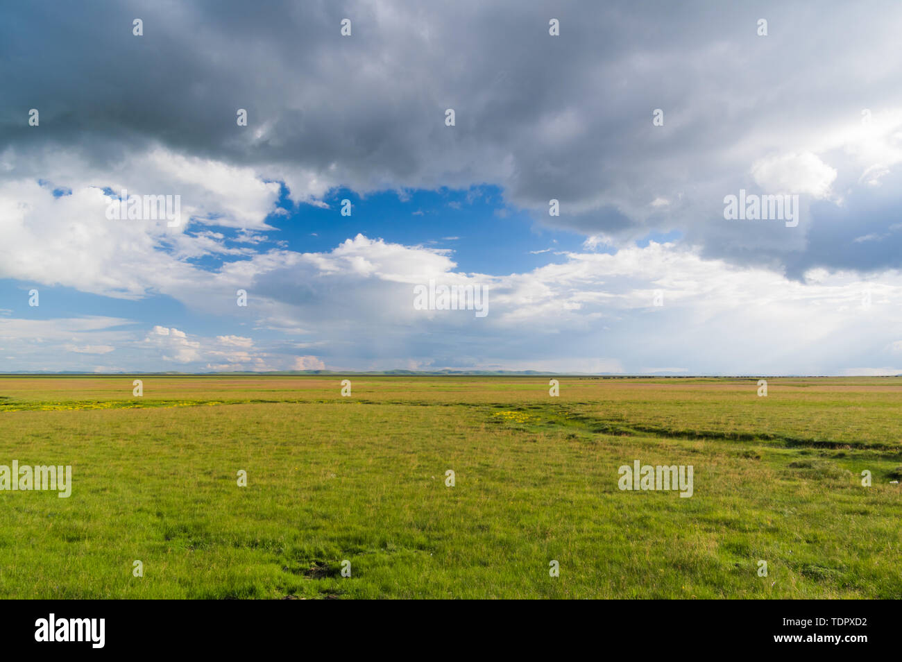Natural pastures and unmanned hi-res stock photography and images - Alamy