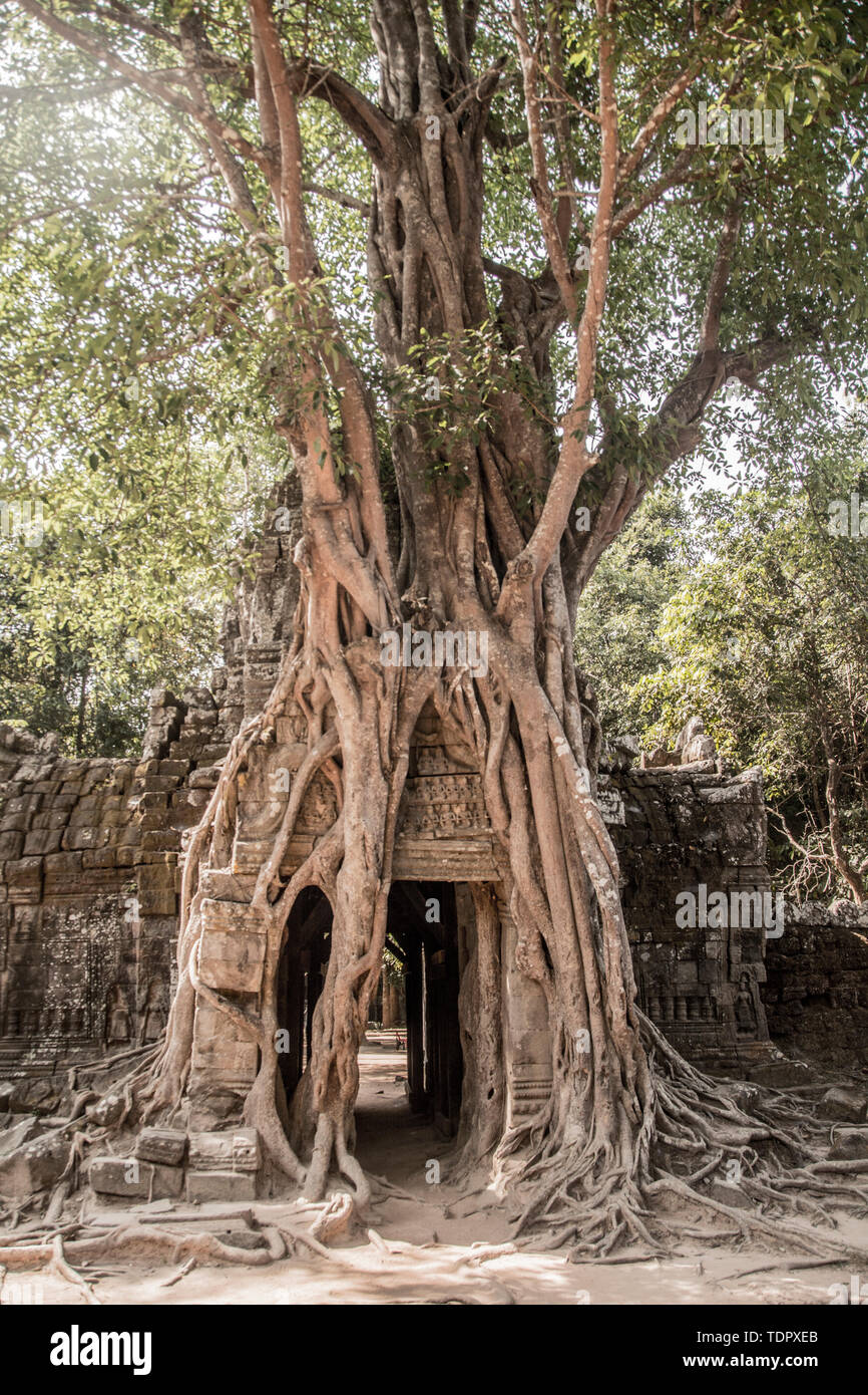 Angkor Wat Angkor's smile Stock Photo - Alamy