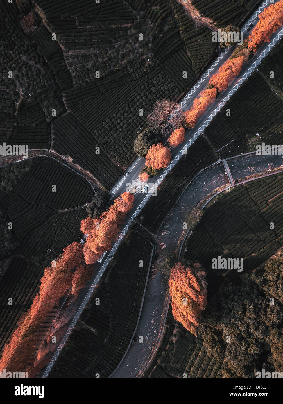 Autumn color of Longjing Stock Photo - Alamy