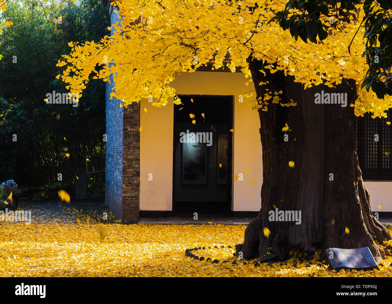 Eight monsters memorial hall hi-res stock photography and images - Alamy