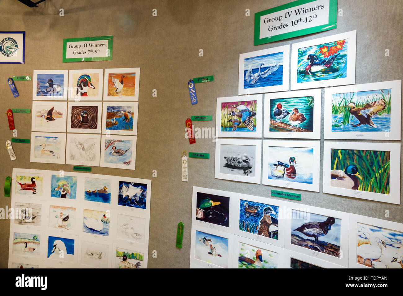 Sanibel Island Florida,J.N. Ding Darling National Wildlife Refuge,al ...