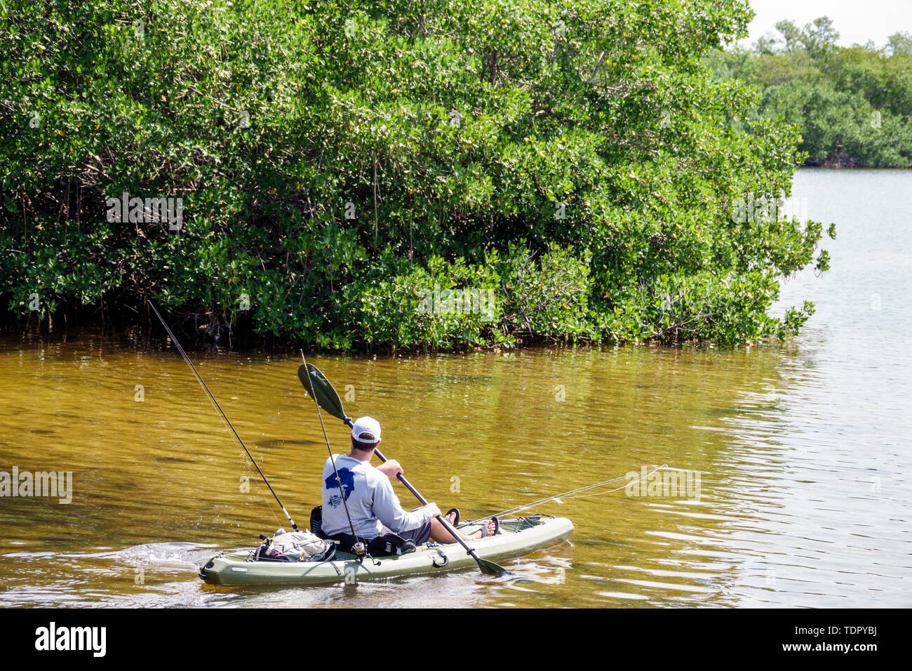 Sanibel Island Florida,J.N. Ding Darling National Wildlife Refuge ...