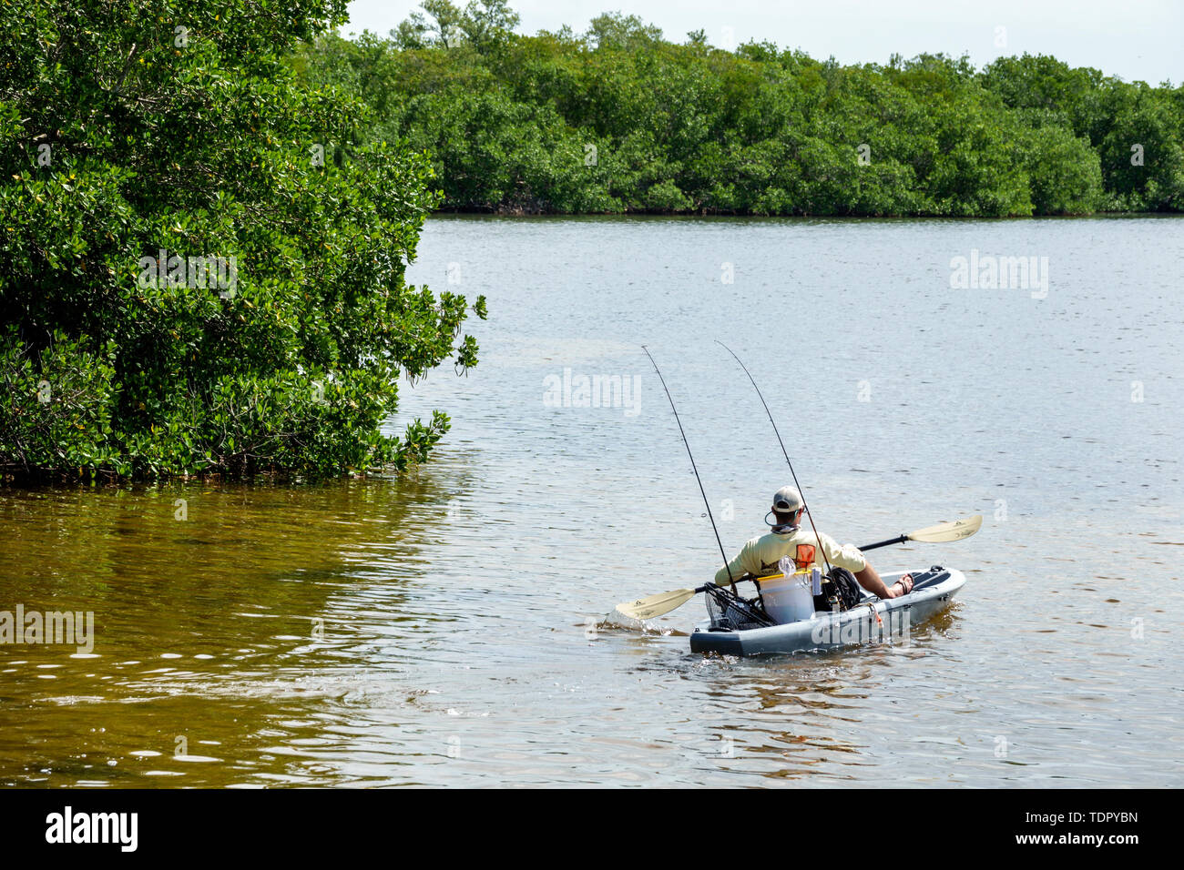 Sanibel Island Florida,J.N. Ding Darling National Wildlife Refuge,al ...
