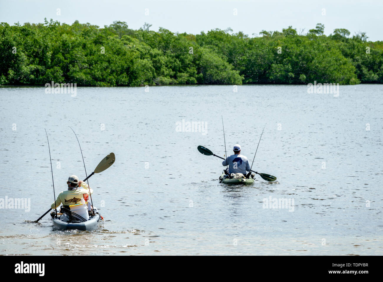 Sanibel Island Florida,J.N. Ding Darling National Wildlife Refuge ...