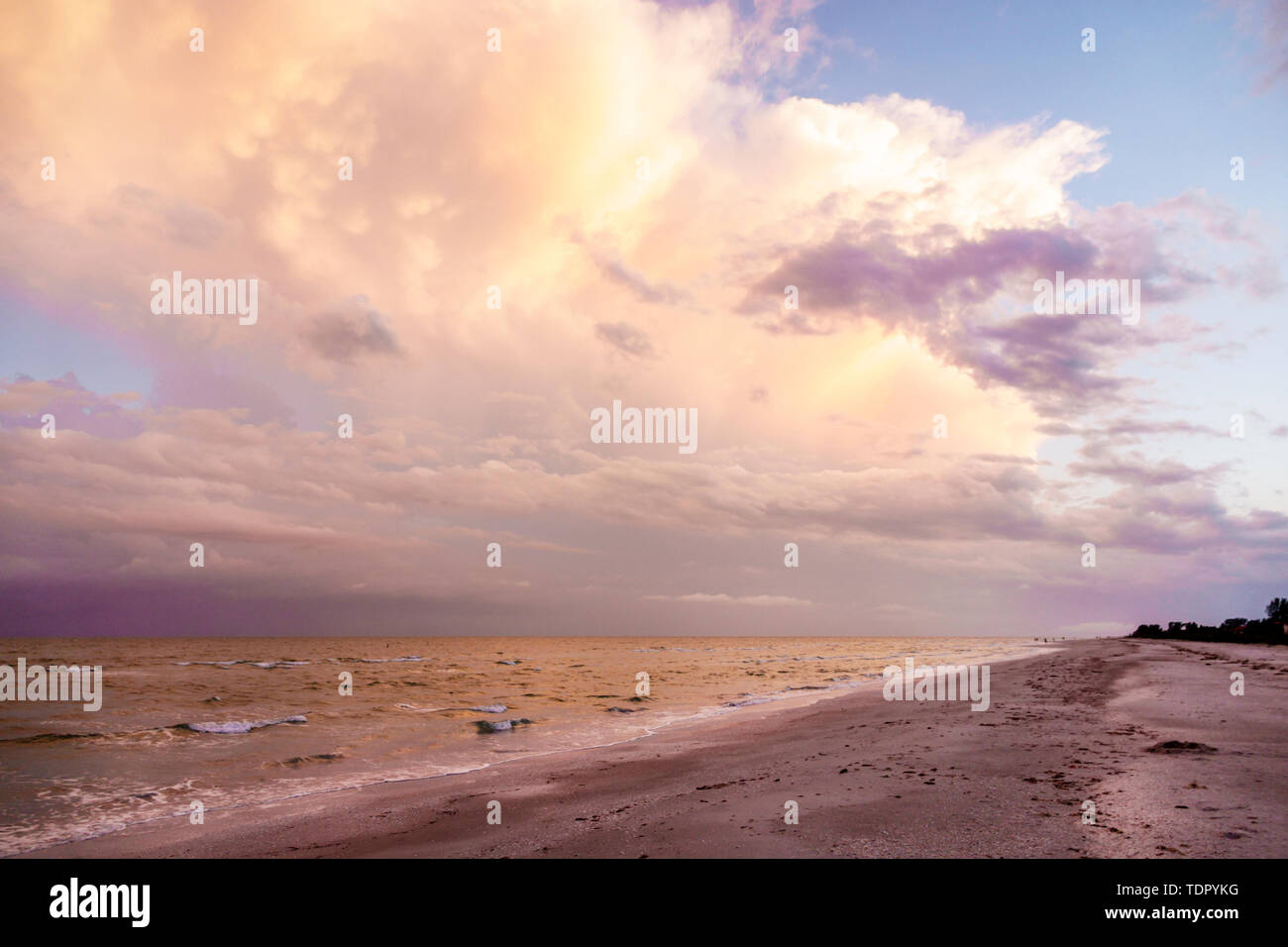 Florida gulf coast sunset hi-res stock photography and images - Alamy