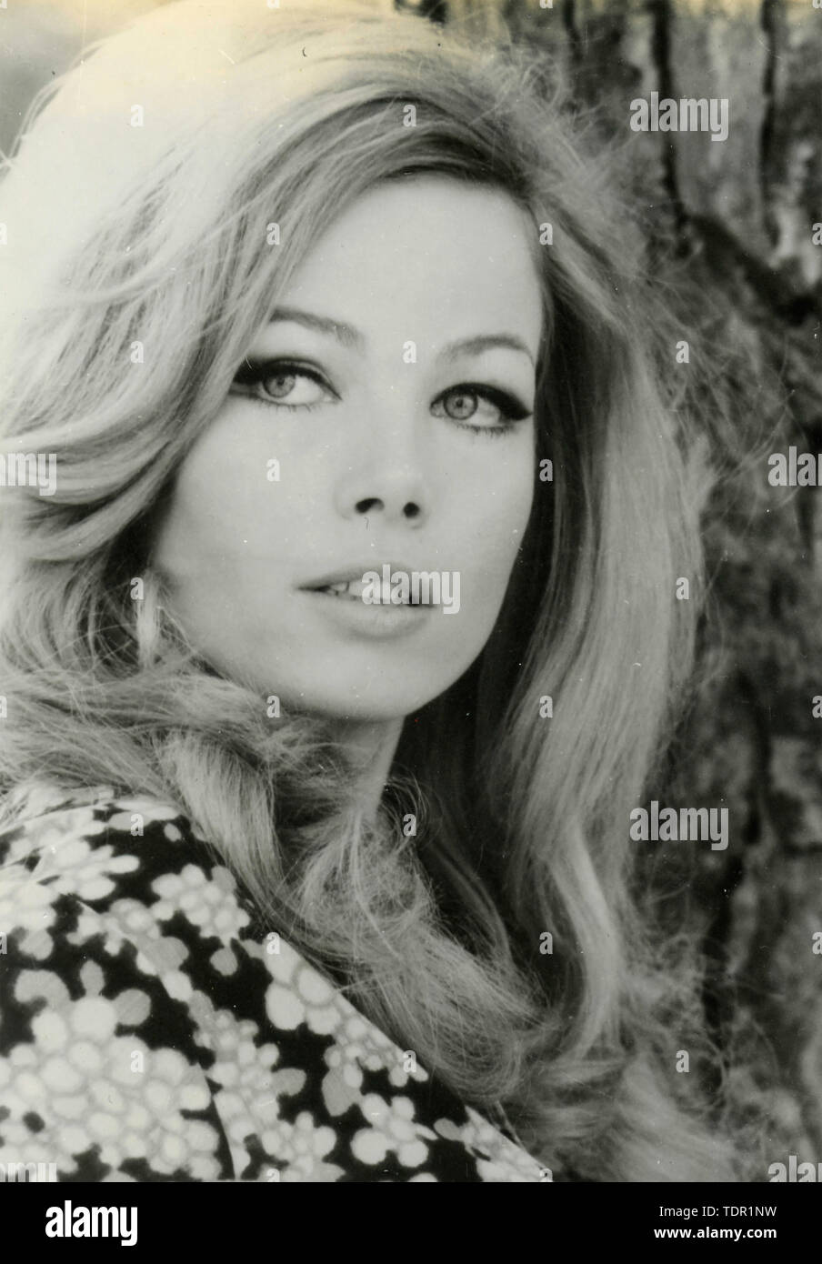 Solvi stubing hi-res stock photography and images - Alamy