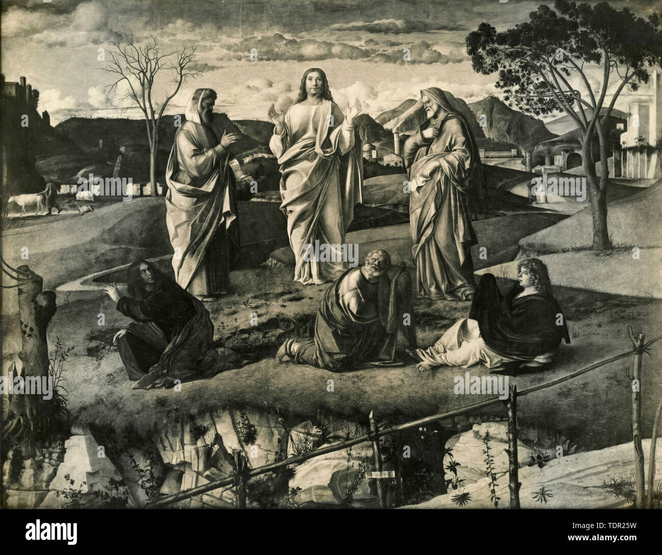 The Transfiguration, painting by Giovanni Bellini Stock Photo - Alamy