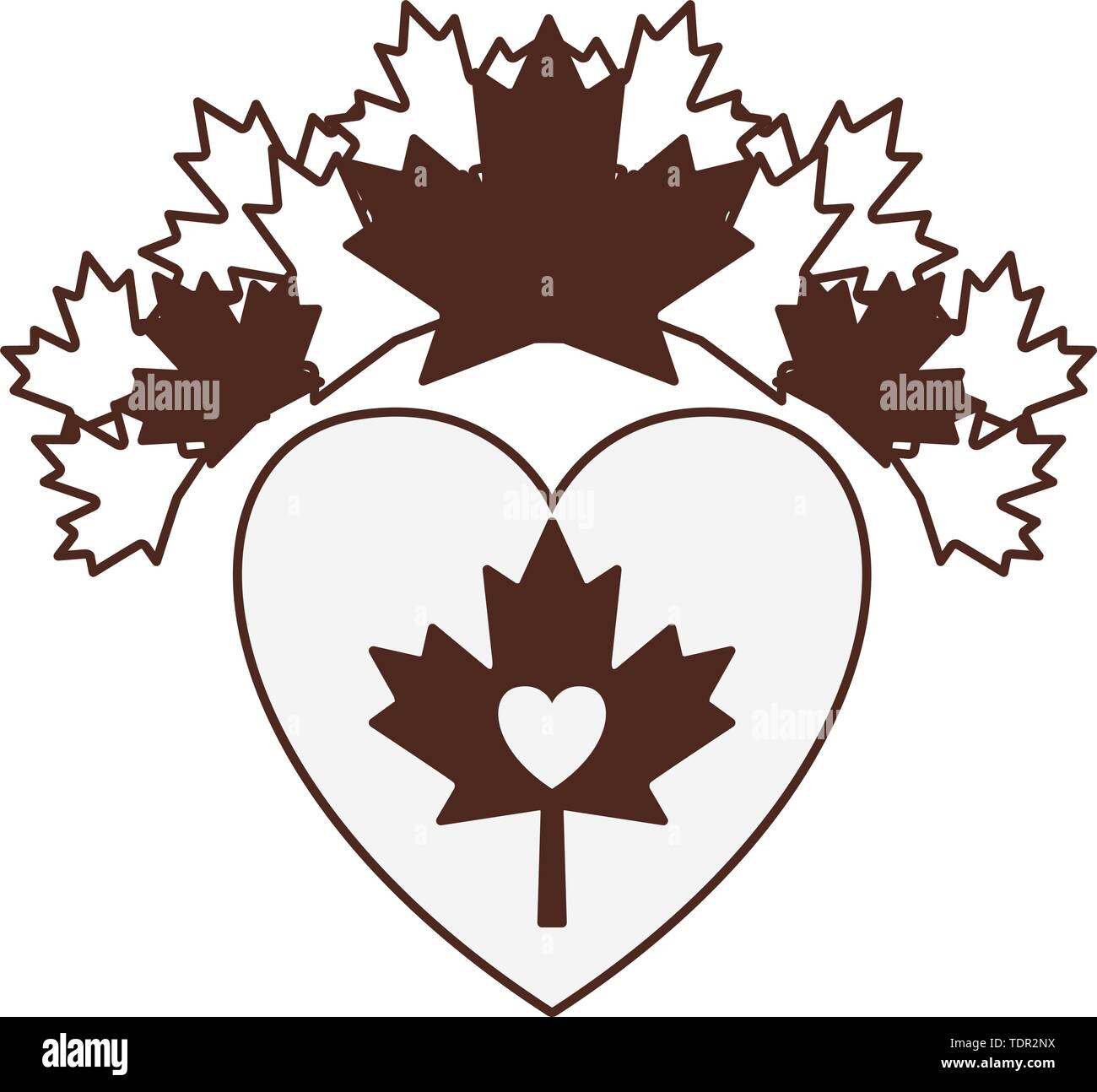 Maple leaf heart and Canada design Stock Vector Image & Art - Alamy