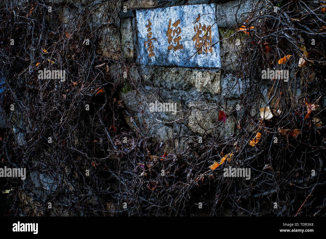 Autumn leaves in Tianping Mountain, Suzhou Stock Photo - Alamy