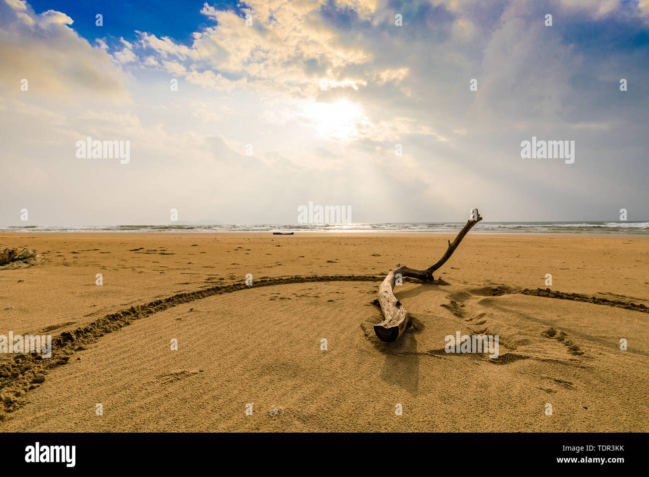 Shimei hi-res stock photography and images - Alamy