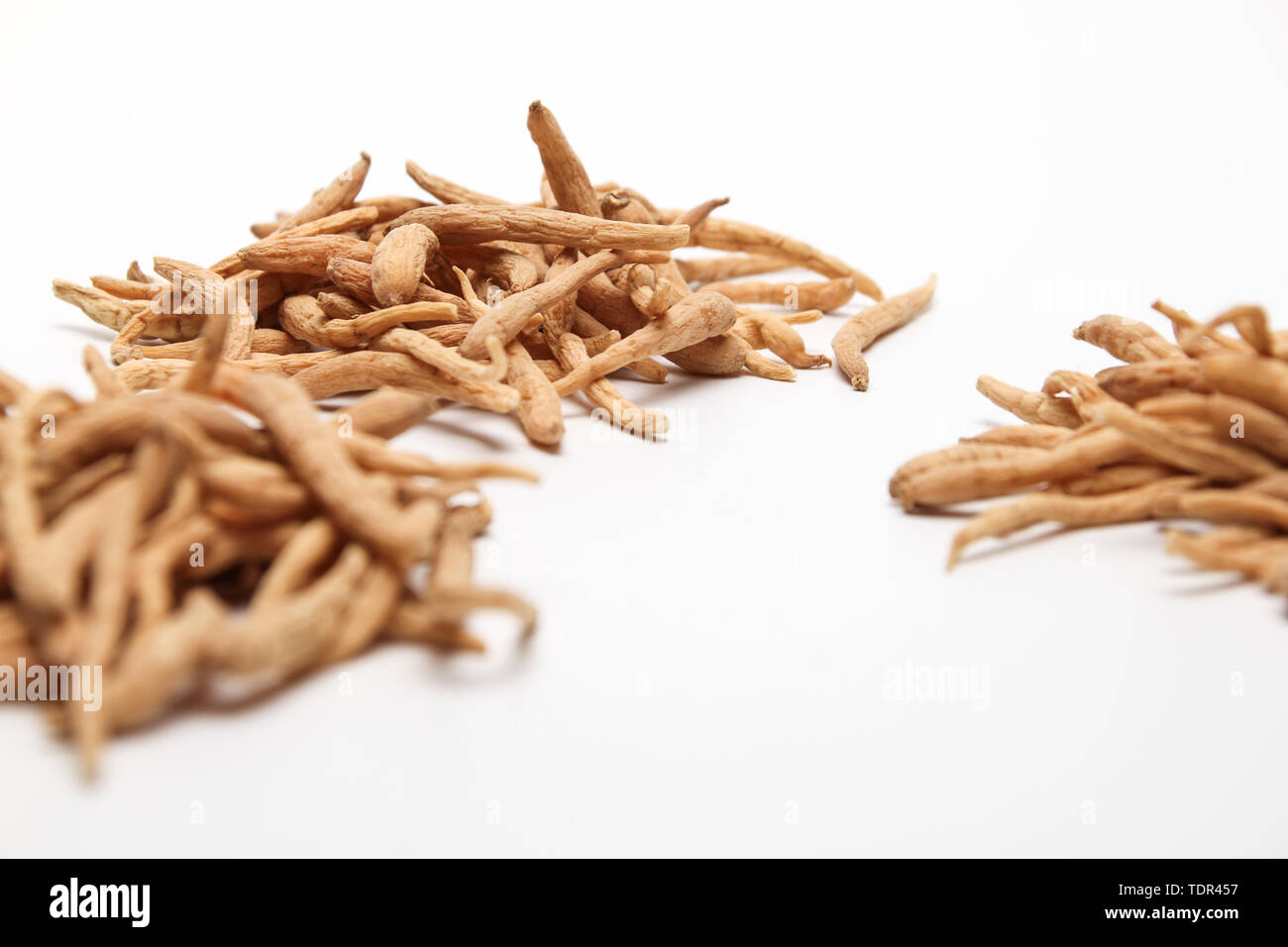 Taizi hi-res stock photography and images - Alamy