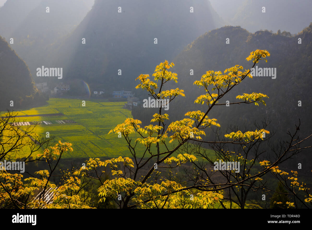 Spring color of Wanfeng forest in Xingyi, Guizhou Stock Photo - Alamy