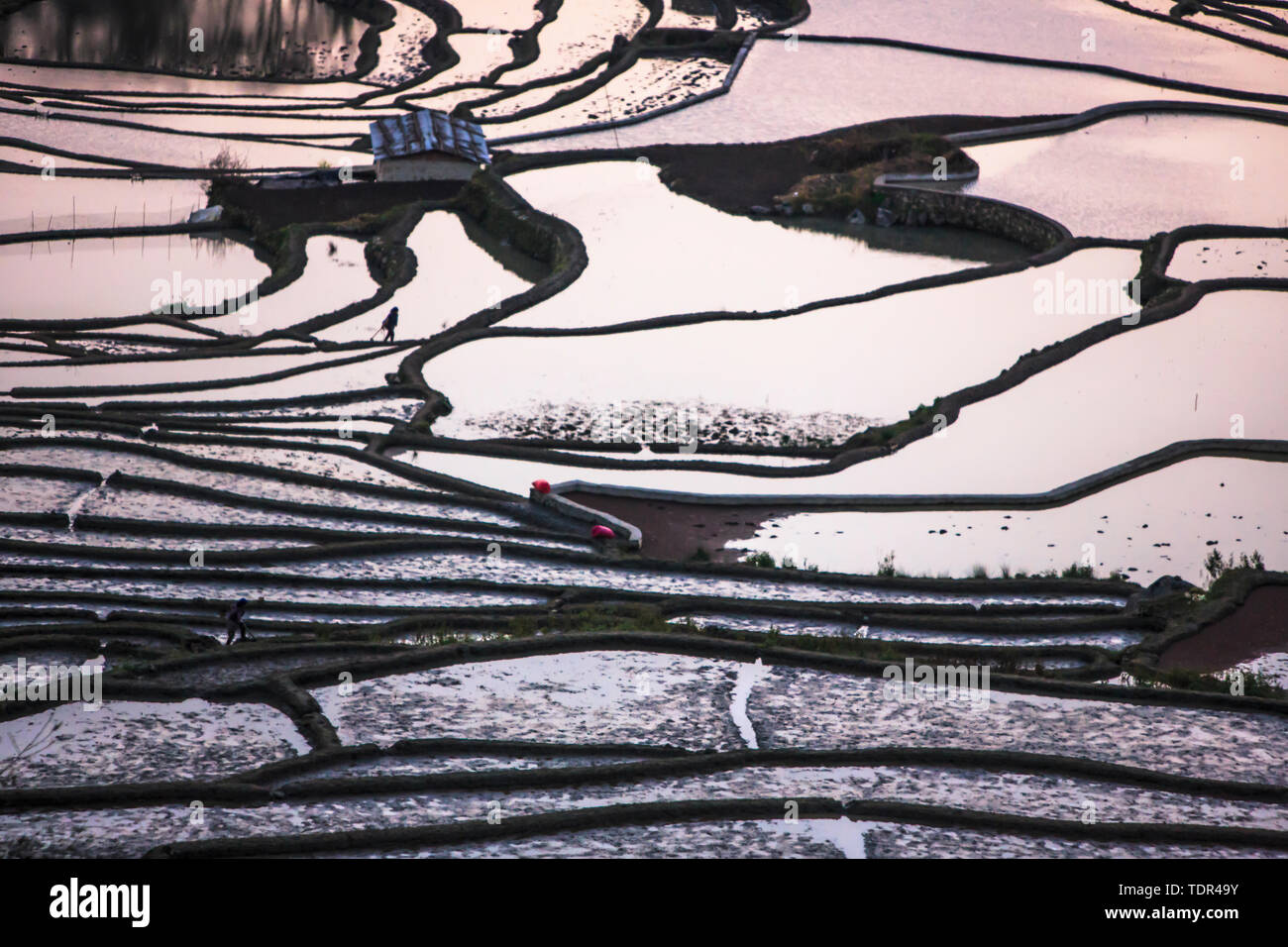 Tangkou hi-res stock photography and images - Alamy