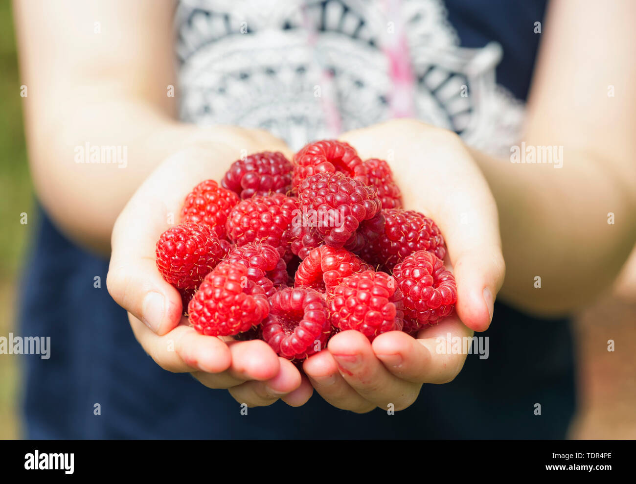 Hands offering hi-res stock photography and images - Alamy