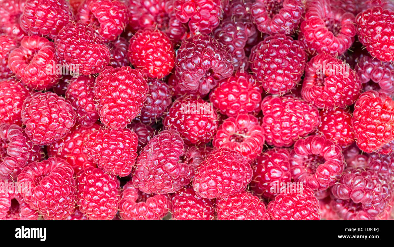 Raspberries background hi-res stock photography and images - Alamy
