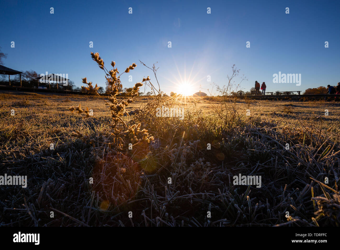 Princess of the prairie hi-res stock photography and images - Alamy