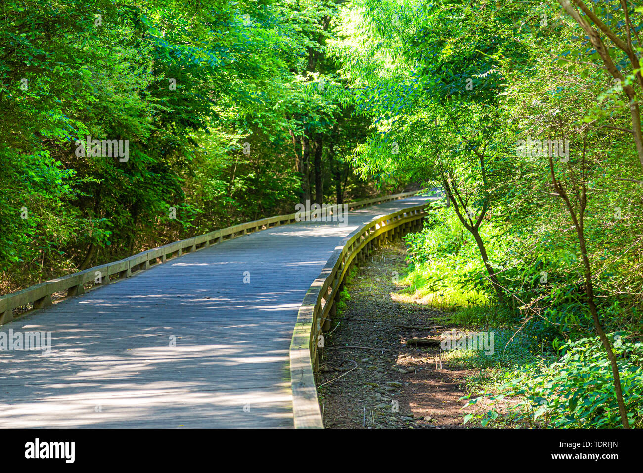 Curve in Wooden Section of Trail of a walking, running, biking and ...