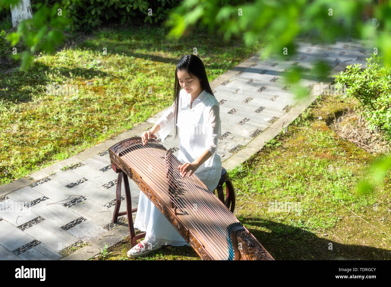 Girl guzheng hi-res stock photography and images - Alamy