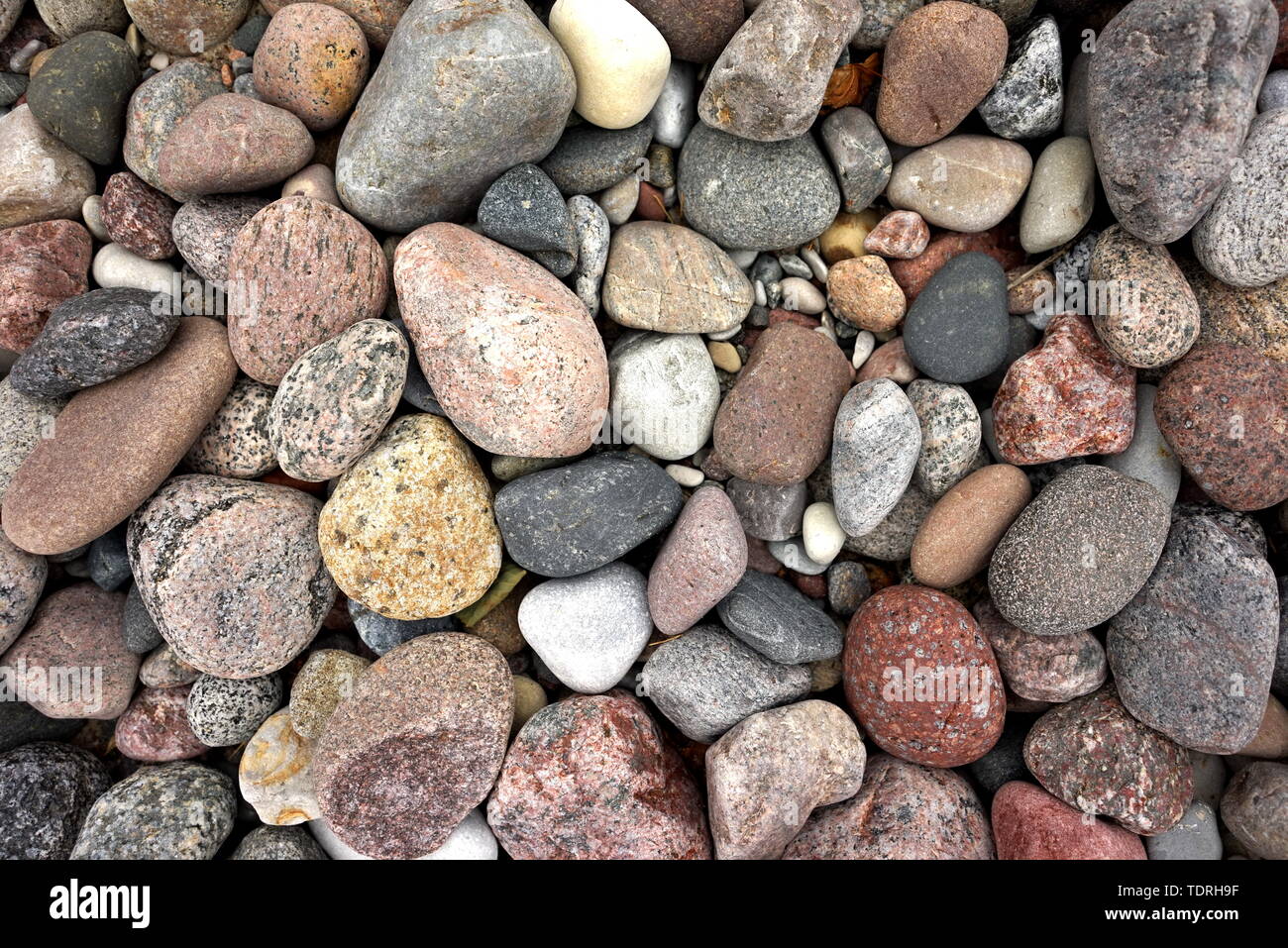 Decorative Round Stones, Abstract Smooth Round Pebbles on a Beach ...