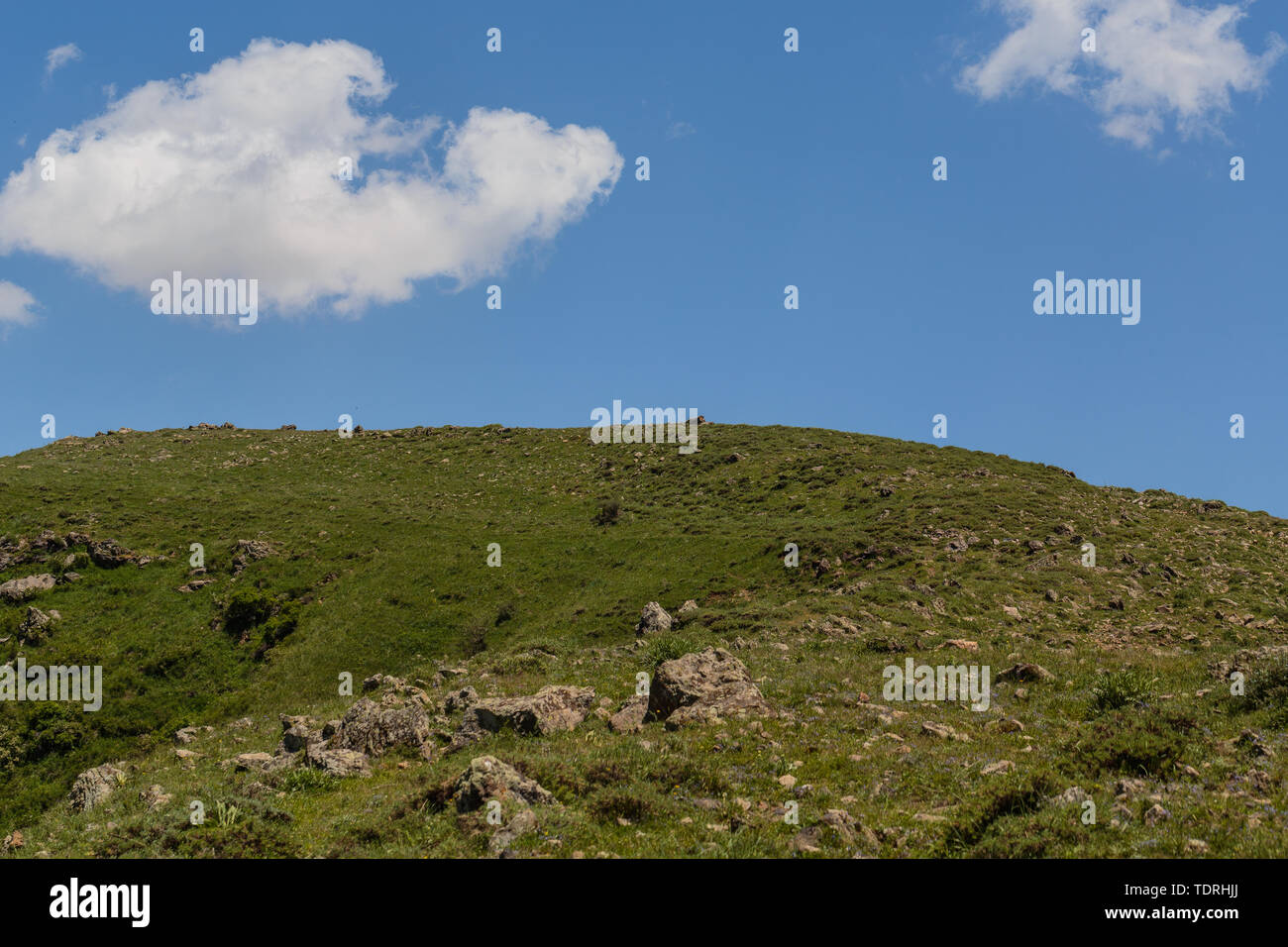 Mountains with vegetation hi-res stock photography and images - Alamy