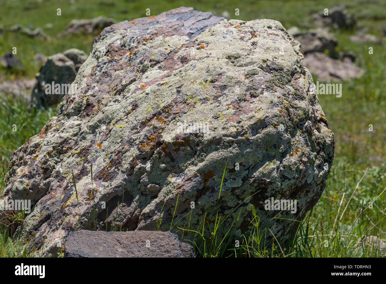 Field stone hi-res stock photography and images - Alamy
