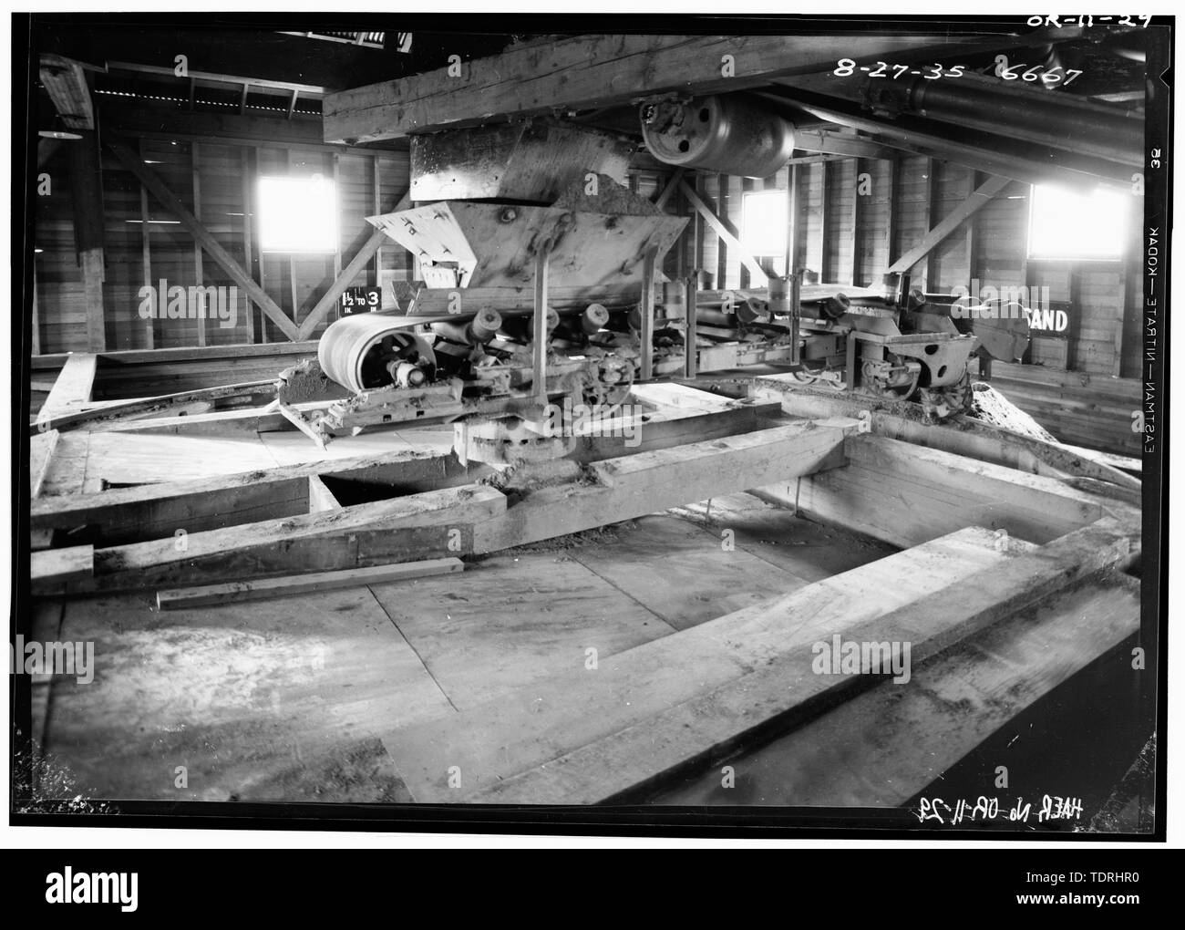 Sand hoppers hi-res stock photography and images - Alamy