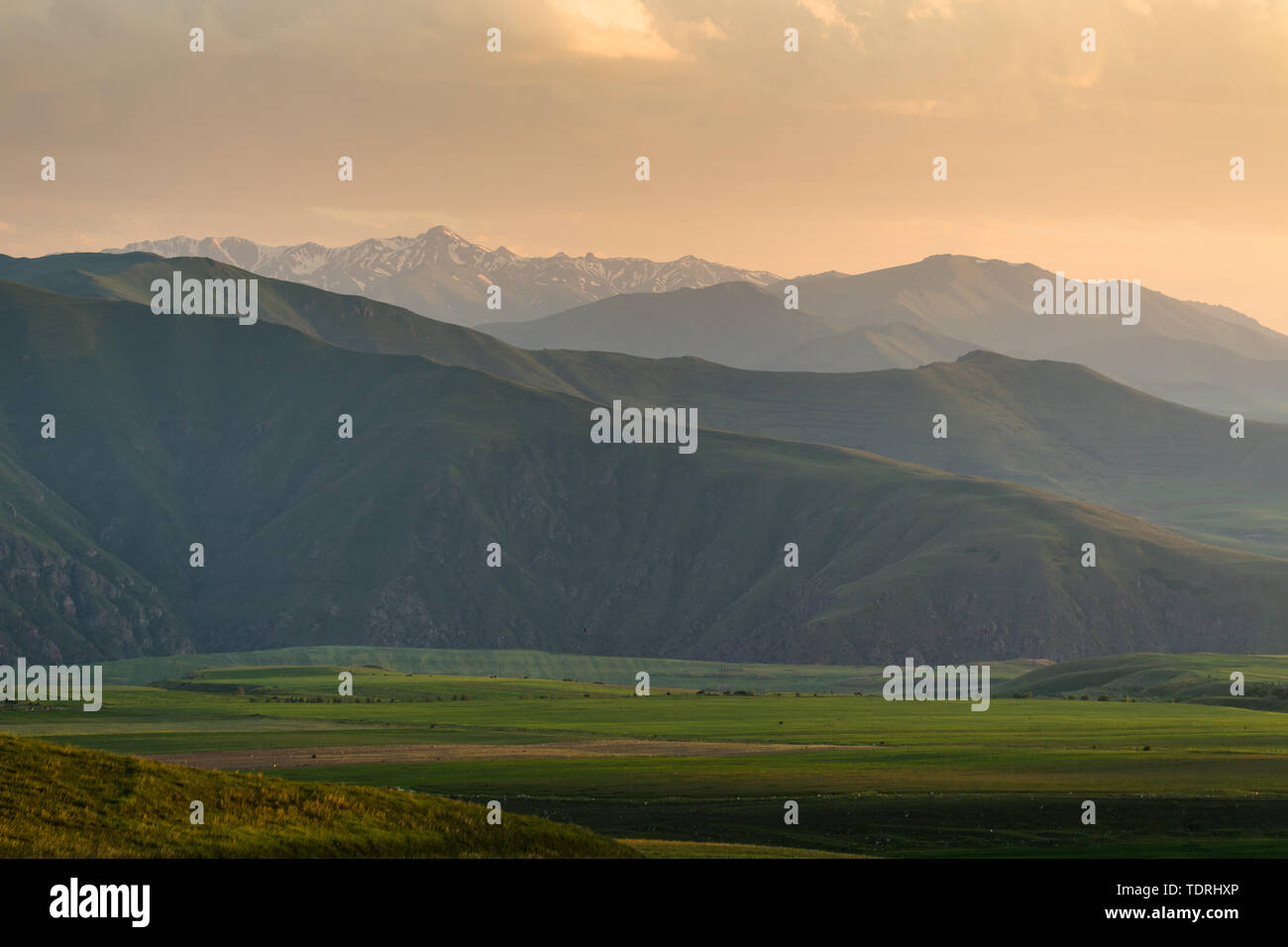 landscape of green fields and mountains in the evening Stock Photo - Alamy