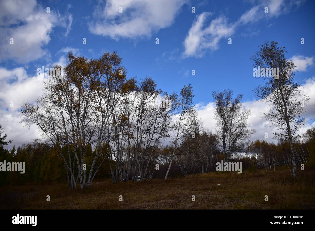 Saihan dam scenery Stock Photo - Alamy