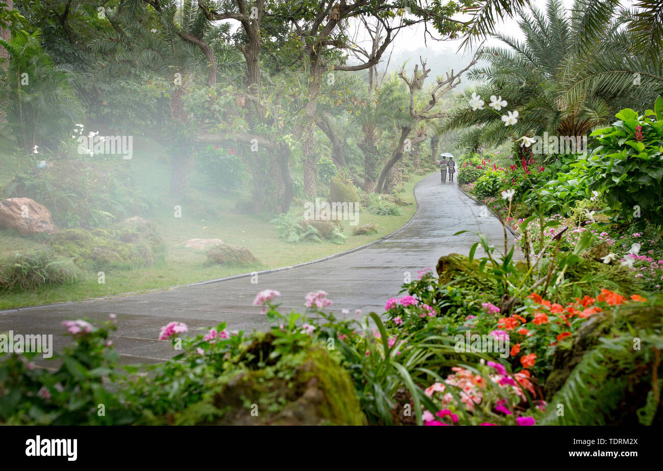 Qingxiu mountain hi-res stock photography and images - Alamy