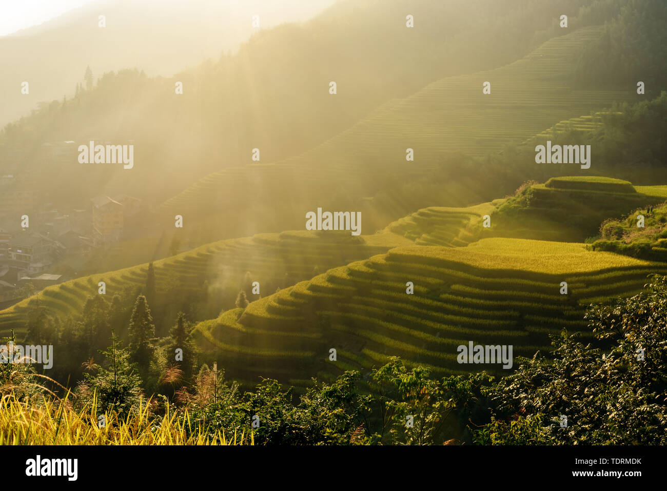 Guilin Dragon Ridge terrace scenery Stock Photo - Alamy