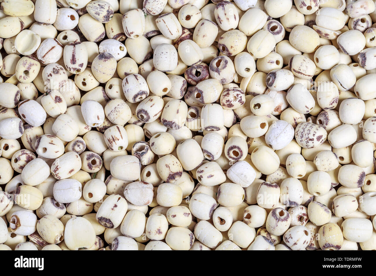 Non core lotus seed hi-res stock photography and images - Alamy