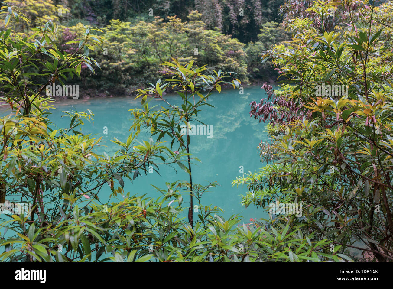 Pengshui Ai River Scenic Area Stock Photo - Alamy