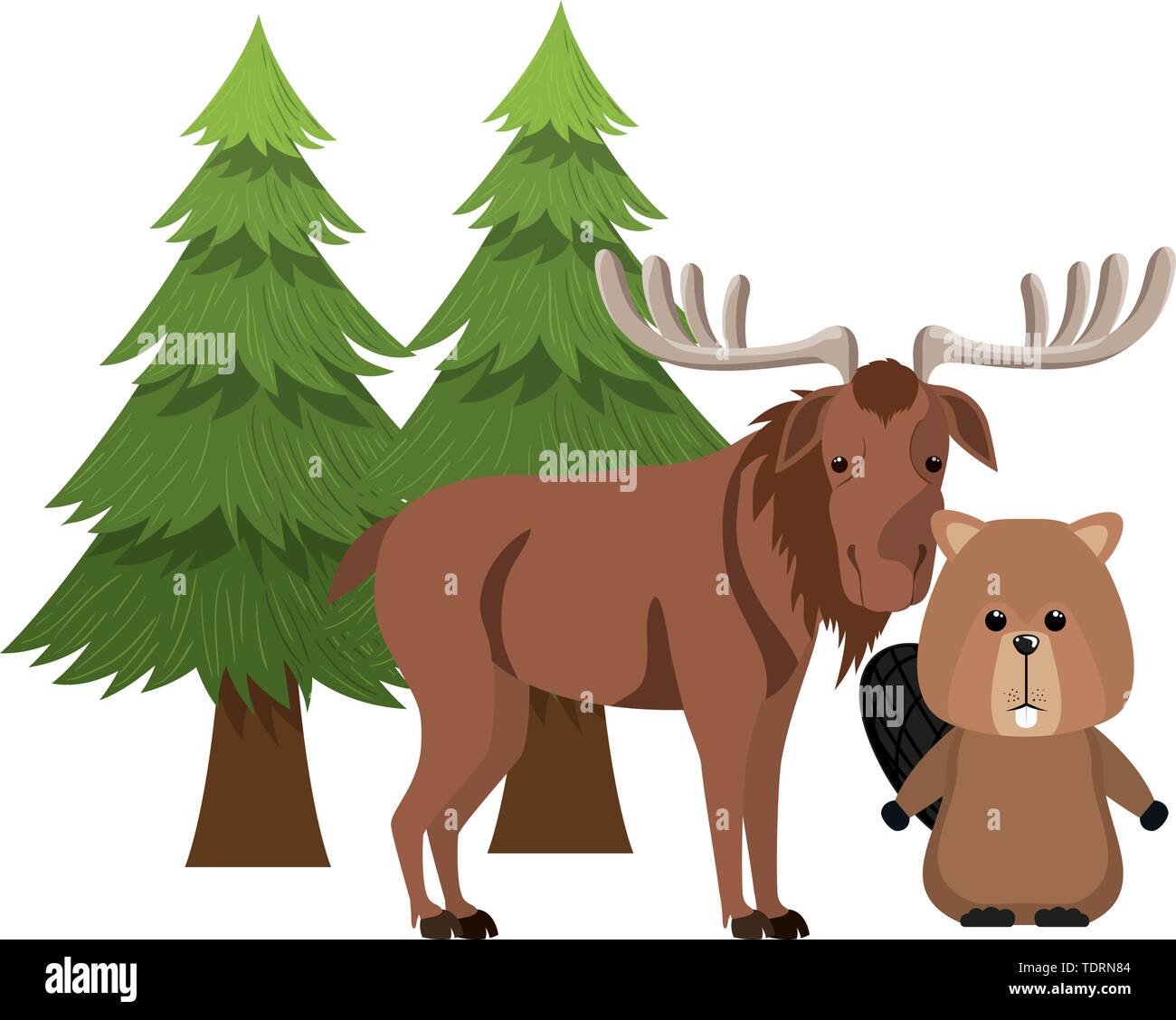 Moose and beaver forest animal of canada design Stock Vector Image ...