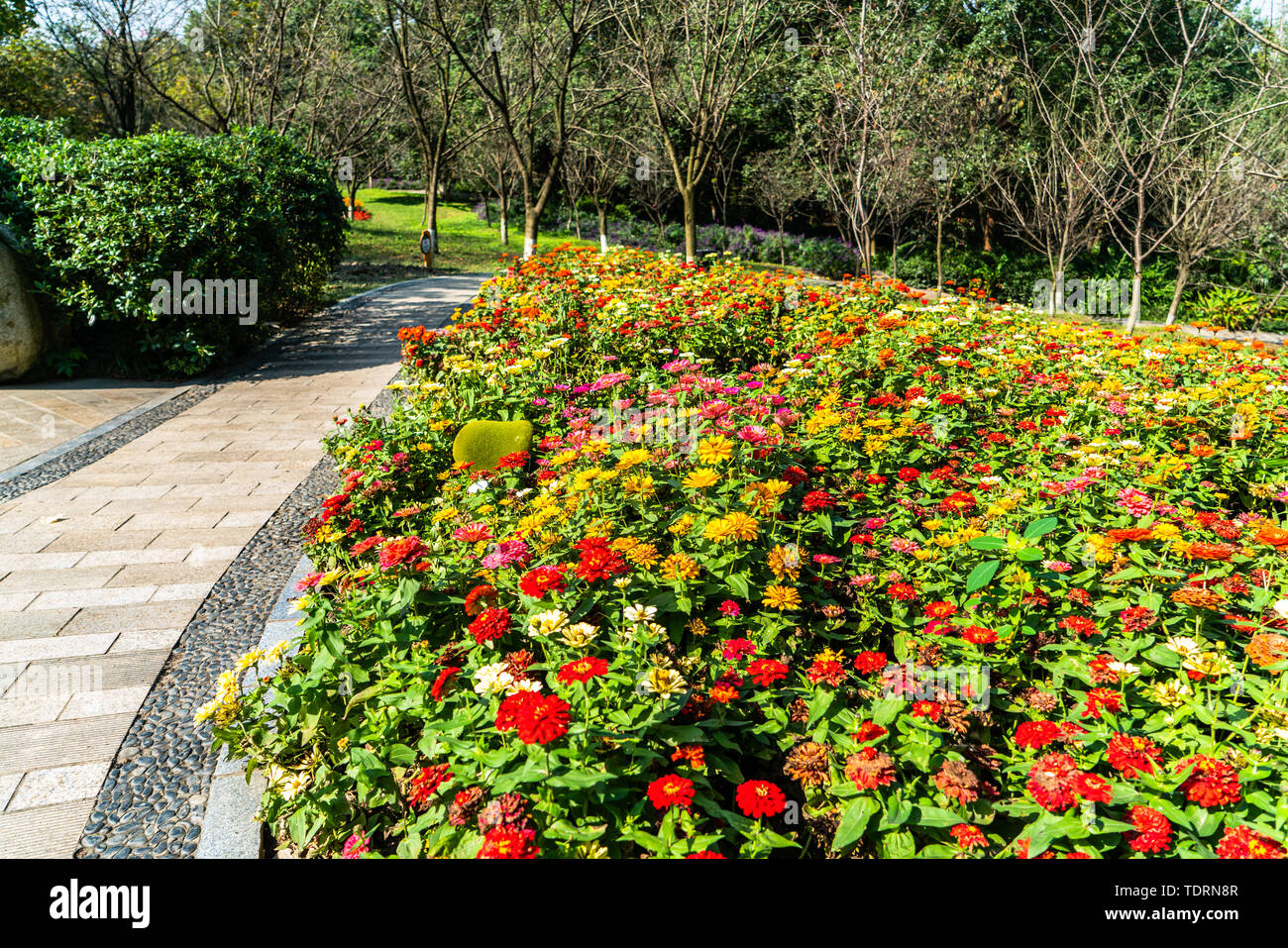 chengdu botanical garden Stock Photo - Alamy