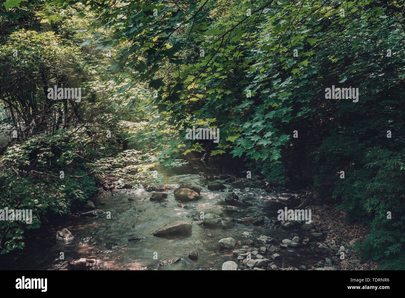 Benxi lake hi-res stock photography and images - Alamy
