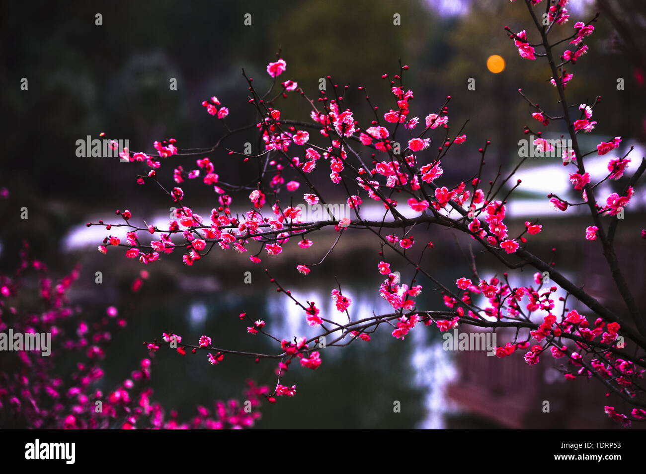 No one moulded with nature hi-res stock photography and images - Alamy