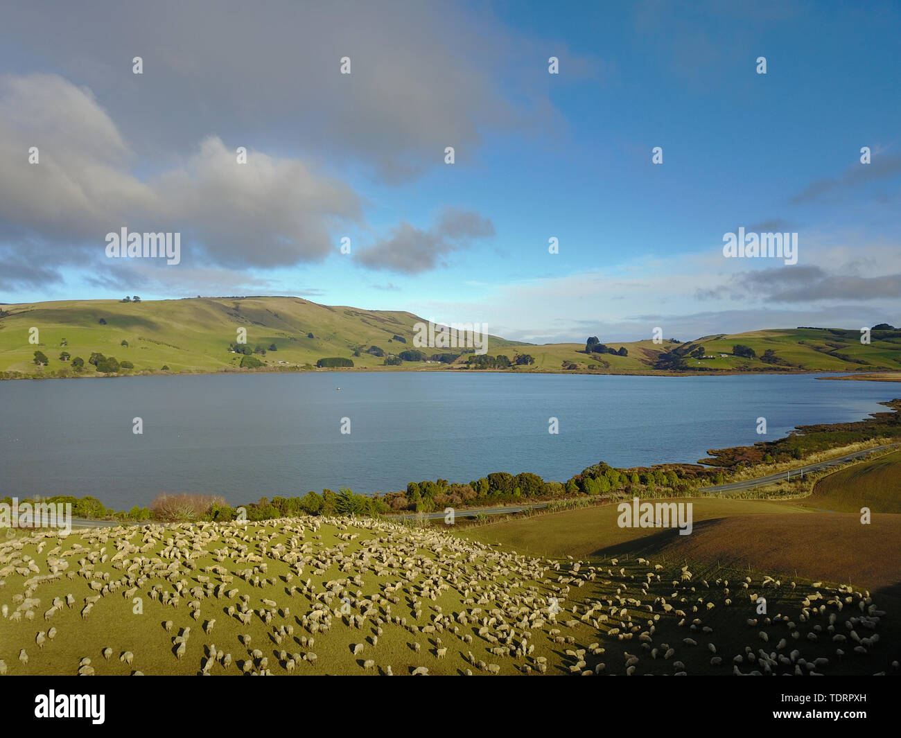 New Zealand ranch Stock Photo - Alamy