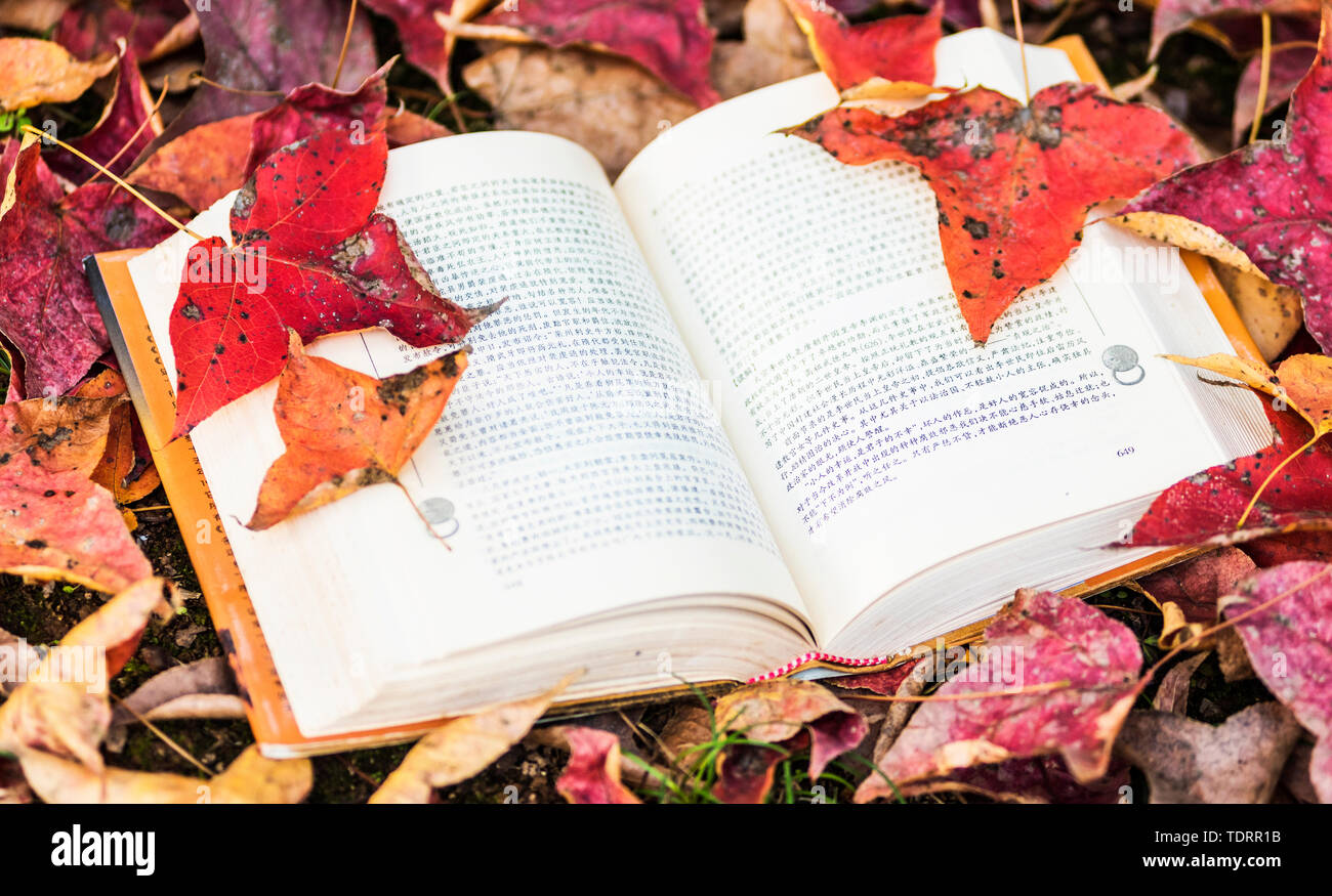 Reading with life books with maple leaf combo Stock Photo - Alamy