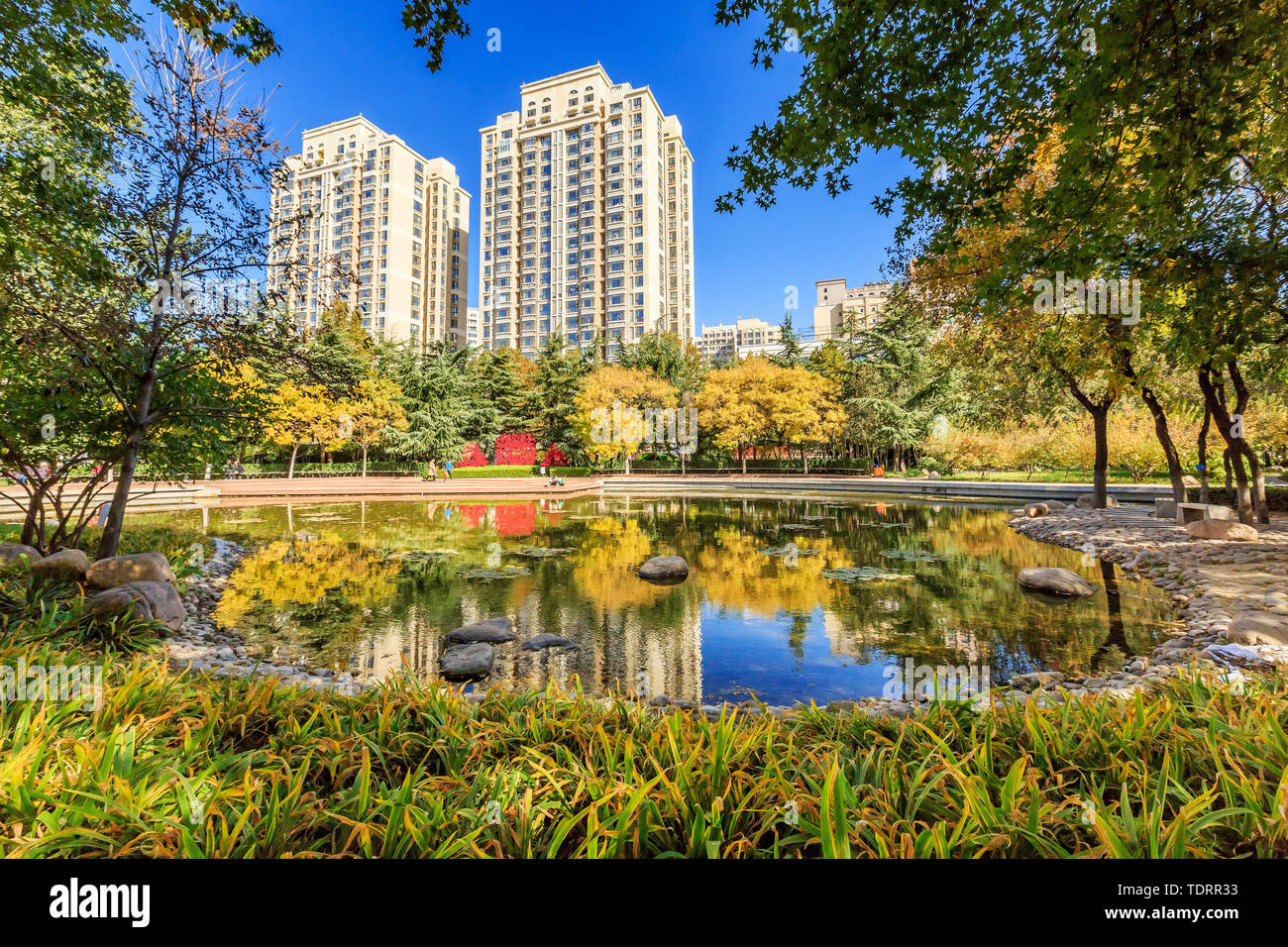 Garden-style urban living environment Stock Photo - Alamy