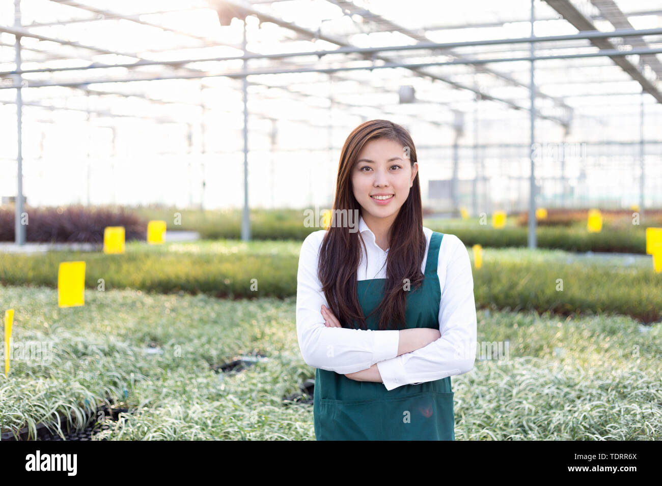 young beautiful chinese woman works in modern green house Stock Photo ...